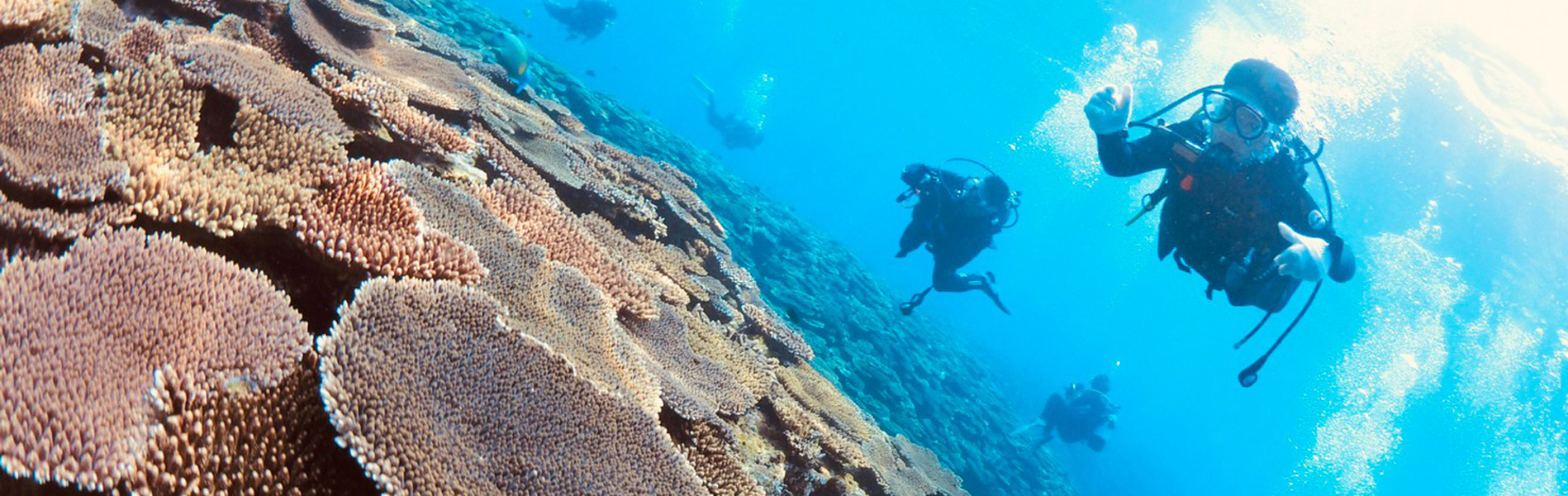 home - HANON Diving Service Ishigaki