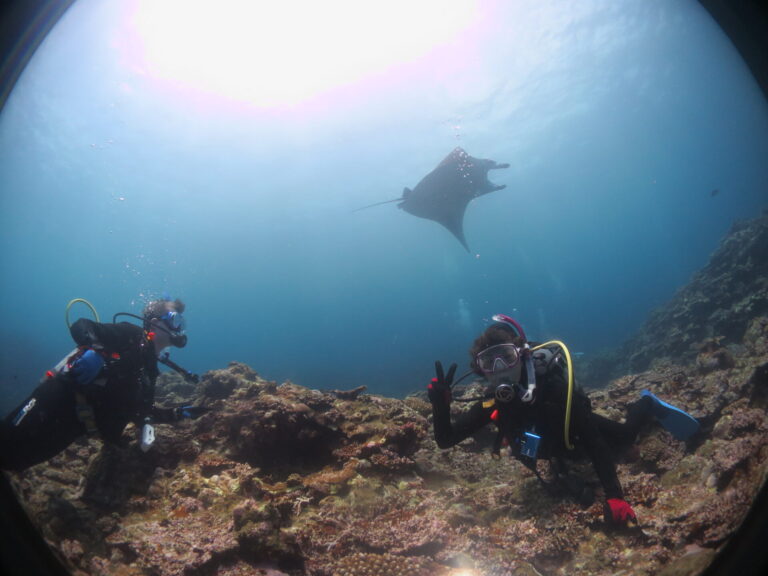 オーストラリアからのお客様！！ - 石垣島のマンツーマンダイビングショップ HANON Diving Service Ishigaki