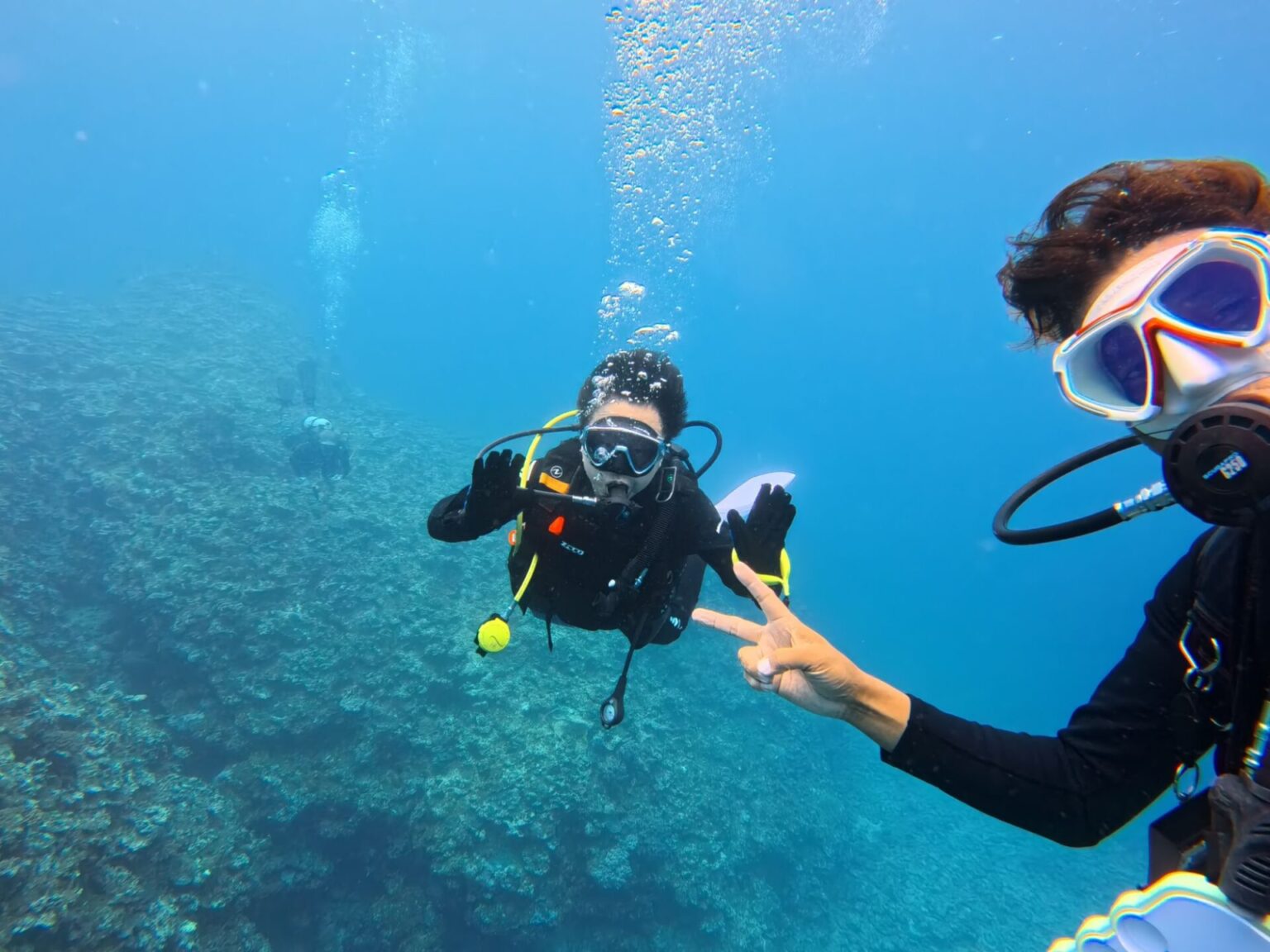 ギリギリマンタ！ - 石垣島のマンツーマンダイビングショップ HANON Diving Service Ishigaki